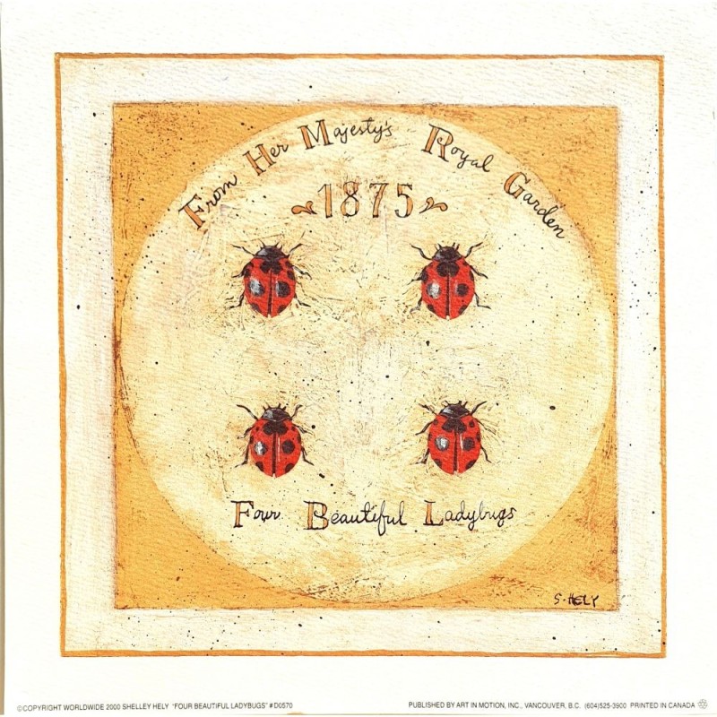 Image " Four Beautiful Ladybugs" Shelley Hely